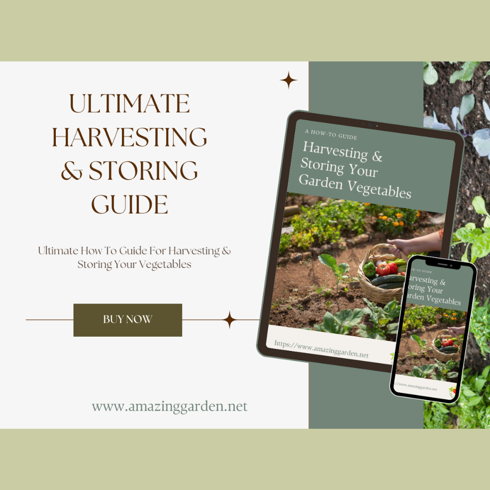 Ultimate Vegetable Harvesting & Storing Guide | Expert Gardening Tips ...