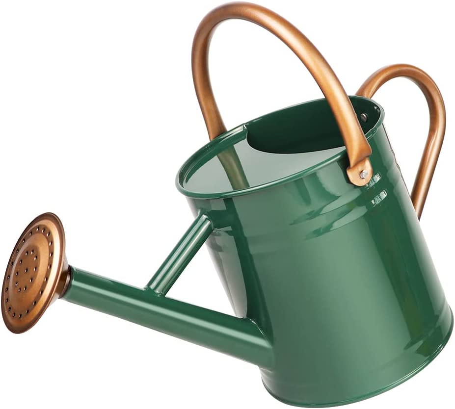 Best Quality Watering Can | Amazing Garden – AMAZING GARDEN