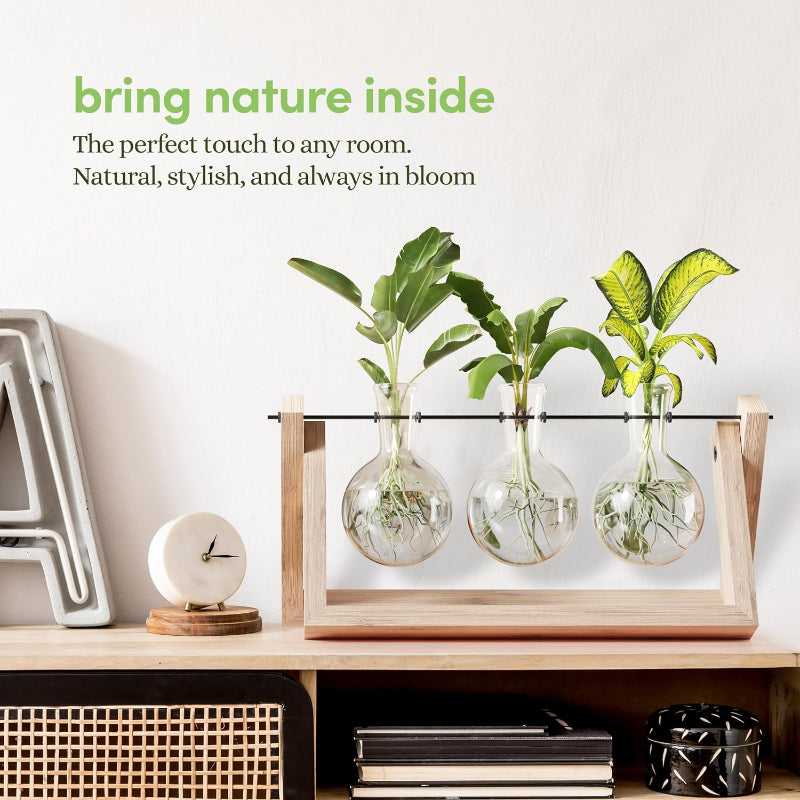 Plant Propagation Station - Wall Hanging Terrarium with Wooden Stand ...
