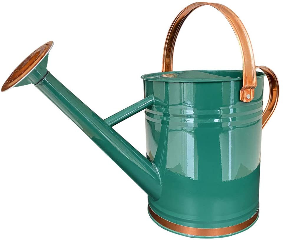 Best Quality Watering Can | Amazing Garden – AMAZING GARDEN