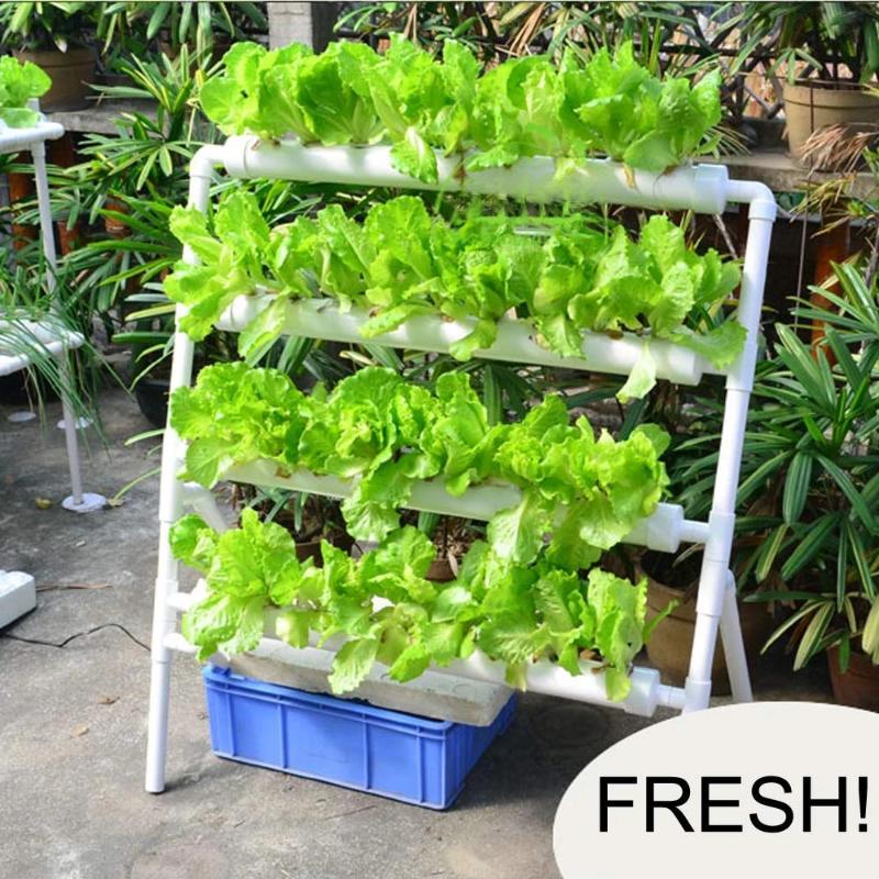 Hydroponic Plant Growing System | Effortless Indoor Gardening | Amazing ...