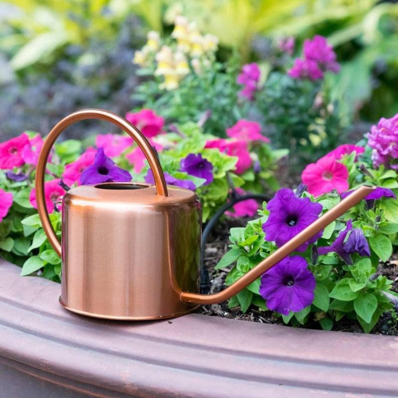 Best Quality Watering Can | Amazing Garden – AMAZING GARDEN