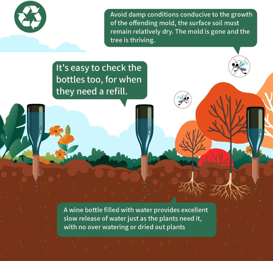 Terracotta Plant Watering Stakes | Amazing Garden – AMAZING GARDEN