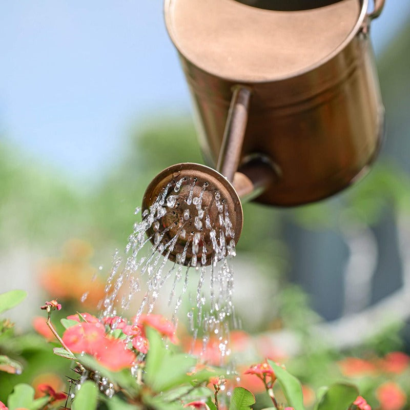 Best Quality Watering Can | Amazing Garden – AMAZING GARDEN