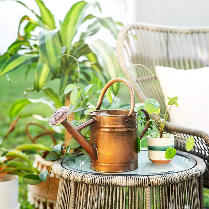 Best Quality Watering Can | Amazing Garden – AMAZING GARDEN