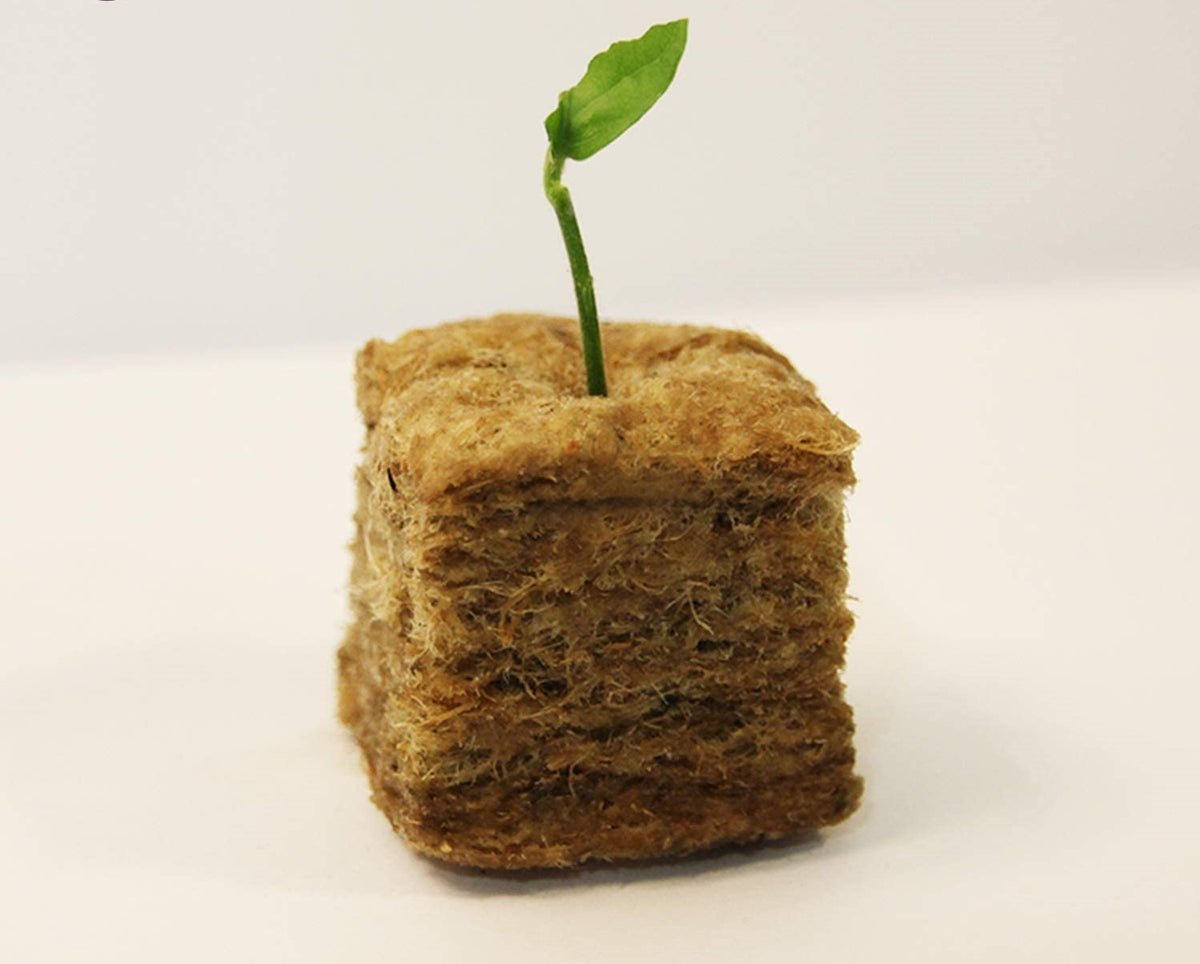 Hydroponics Rockwool Cubes | Amazing Garden – AMAZING GARDEN